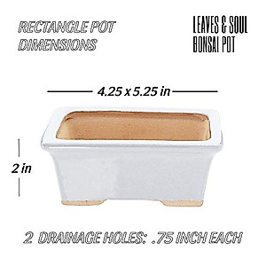Glazed Ceramic Bonsai Pot - Decorative Planter for Dwarf Trees, Succulents, Small Plants - Perfect Pot for Indoor and Outdoor Gardens, Table Centerpieces and Windowsill Decor - White Rectangle