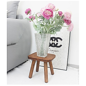 zaowofires Solid Wood Step Stool，Milking Stool, Plant Stand, Round Foot Stool, Removable Portable Stool, Shoe Changing Stool, Small Short Stooll (Walnut)