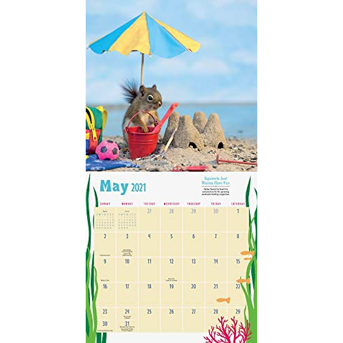 The Secret Life of Squirrels Wall Calendar 2021