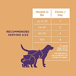 Natural Rapport Dog Skin and Coat Supplement - The Only Skin and Coat Soft Chews Dogs Need - 120ct Treats That Contain Salmon Oil and Omegas 3, 6, & 9 for a Healthy Coat