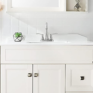 PARLOS Swivel Spout 2-Handle Lavatory Faucet Brushed Nickel Bathroom Sink Faucet with Metal Pop-up Drain and Faucet Supply Lines, Demeter 13627