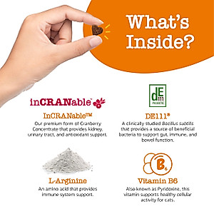 Zesty Paws Cranberry Urinary Tract Bites for Cats - Kidney & Urinary Tract Health - Soft Chews with D-Mannose, Vitamin B6 & L-Arginine - Immune & Gut Support - Bacon - 60 Count