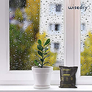 wisedry 2 x 500 Gram [2.2 lbs] Rechargeable Silica Gel Car Dehumidifier, Microwave Fast Reactivated Desiccant Packets Large for Gun Safe Closet Basement Garage Storage Moisture Absorber Bag Reusable