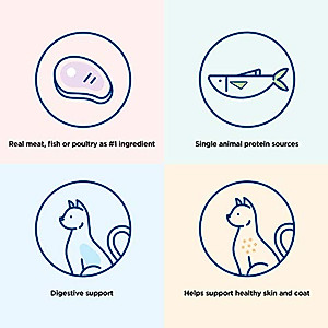 Natural Balance Limited Ingredient Diet Chicken| High Protein Adult Grain-Free Dry Cat Food | 5-lb. Bag