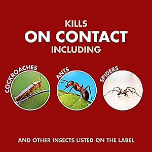 Spectracide Bug Stop Home Barrier Indoor Plus Outdoor Bug Control With Flip & Go Sprayer Kills Ants, Roaches and Spiders on Contact, 0.5 Gallon, 1 Pack