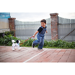 Peppy Pets French Bulldog (Amazon Exclusive)