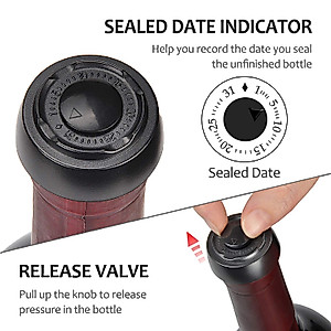 Wine Air Pressure Pump Opener Set, Tirrinia Wine Bottle Cork Remover Accessory Tool Kit with Wine Saver, 2 Vacuum Stoppers, Wine Pourer and Foil Cutter, Perfect Wine Lover Gifts, Silver