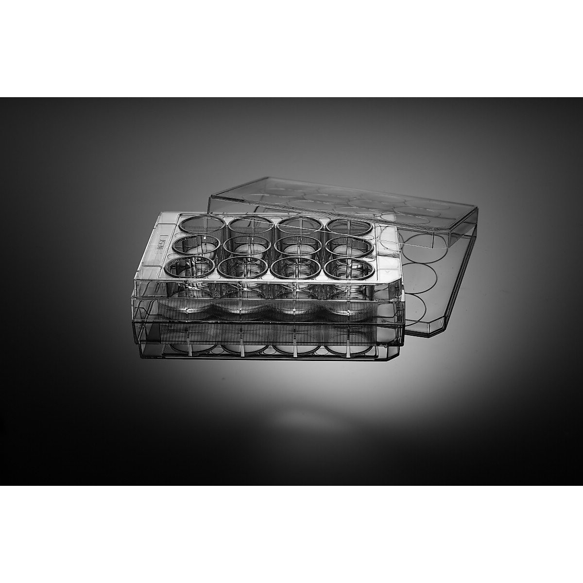 Nest Scientific 712001 Polystyrene 12 Well Cell Culture Plate, Flat Bottom, Tissue Culture Treated, Sterile, Clear, 1 per Pack, 50 per Case (Pack of 50)