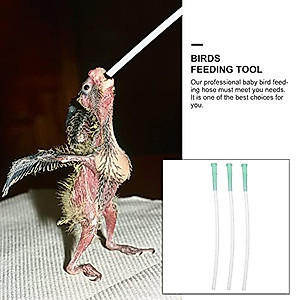 Parrot Feeding Syringe Birds Feeding Hoses, soft birds feeding hose 3pcs Parrot Feeding Hose Tool Birds Feeding Dropper Feeding birds feeding accessory Tube bird feeder Pet Feeder