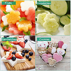 Hhyn Sandwich Cutters Set for Kids, Mickey Mouse, Dinosaur, Star, Heart Shapes and Mini Vegetable Fruit Cookie Cutters Food Mold for Holiday and Party