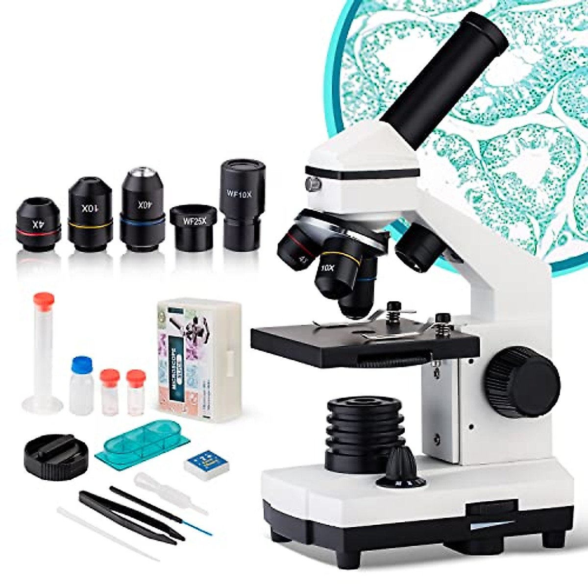 Microscope Biological for Kids, Students and Adult 250X-2000X Powerful Biological Children's Microscope Set for School Laboratory Home Biological Scientific Research Education
