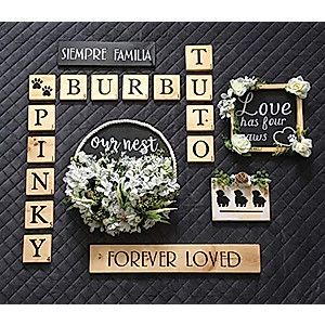 Frisco Craft Black Permanent Vinyl - 12" x 50 FT Vinyl Roll for Cricut, Silhouette, Cameo Cutters, Signs, Scrapbooking, Craft, Die Cutters, CNC, Water & Weather-Resistant Black Matte Adhesive Vinyl