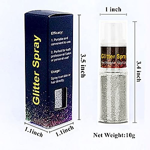 Go Ho Hair and Body Glitter Spray,Festival Glitter Powder Makeup for Hair/Body/Clothes,Silver Glitter Spray Loose Sparkle Powder Makeup for Body Highlighter,Festival Rave Accessories,10g