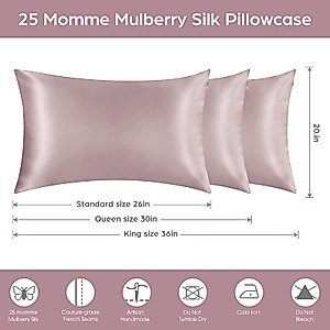 Veaken Silk Pillowcase for Hair and Skin, 2 Pack 100% Mulberry Silk Pillowcase 25 Momme, 600 Thread Count, Both Side Pure Silk Pillow Cover with Hidden Zipper (ApricotGray, Standard 20''×26'')