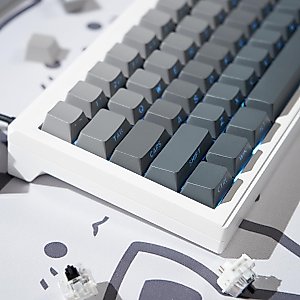 mintcaps Shine Through Keycaps -133keys PBT Doubleshot keycaps Gradient Side Print Cherry Profile Keycap Set for 60% 65% 75% 100% Cherry Gateron MX Switches Mechanical Keyboard