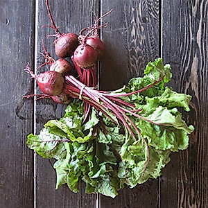 1200 Early Wonder Tall Top Beet Seeds for Planting 1 Ounce of Seeds Non GMO and Heirloom Survival Vegetable Garden