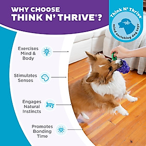 Outward Hound by Planet Dog Dental Grapes Dental Chew Toy and Interactive Treat Stuffer Durable Dog Toy Stuffable Dog Toy, Medium, Purple