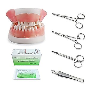 Teaching Model,Simulated Oral Suture Model Kits, Dental Suture Kit Medical Skin Suture Surgical Training Kit Chirurgical Surgical Practice Set Oral Doctors Dental Teachin