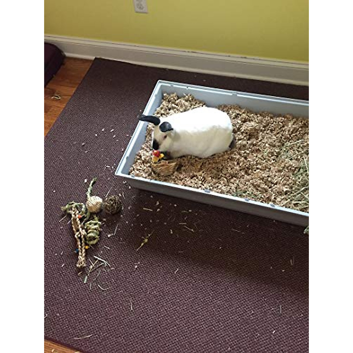 Small Pet Select Premium Small Animal Bedding, Natural Soft Paper Bedding for Small Indoor and Outdoor Pets, Made in USA, 56 L Pack