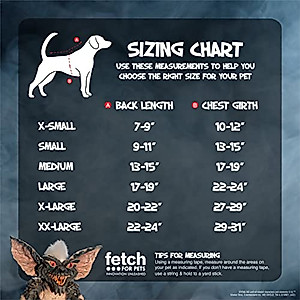 Warner Bros Horror Gremlins Halloween Costume for Dogs with Hood – Size Medium | Dog Costumes, Cute Pet Scary Costumes Dogs| Officially Licensed Products, Green (FF21797)