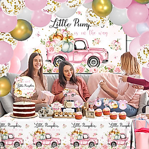 Little Pumpkin Baby Shower Decorations for Girl|, A Sweet Little Pumpkin Is on the Way Pink Backdrop Balloon Garland Kit for Fall Autumn Thanksgiving Baby Shower Background Party Supplies