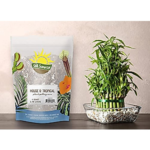 Tropical House Plant Potting Mix (4 Quarts); for All Types of Indoor House Plants