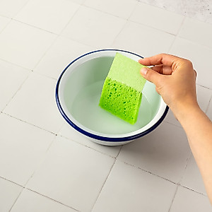 ARYA. | Pop-Up Eco Sponges 24 Pack | Natural Cellulose | Compostable & Biodegradable | Compressed Kitchen & Bathroom Sponges | Plastic-Free & Non-Scratch (24)