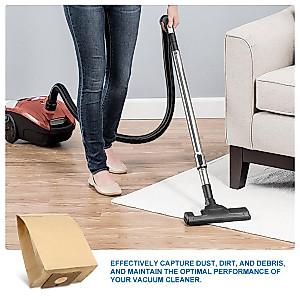 LANMU Vacuum Bags Compatible with Bissell Zing 4122, 2154A, 2154W, 2154, 4122D, 1668, 1668C, 1668W, 1608, 2154C Canister Vacuum, Replacement Part Number 2138425 (6 Pack)