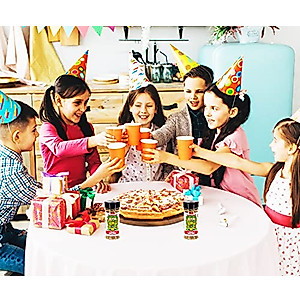 Teenage Mutant Ninja Turtles Pizza Seasoning - Pizza Spice - Officially Licensed TMNT