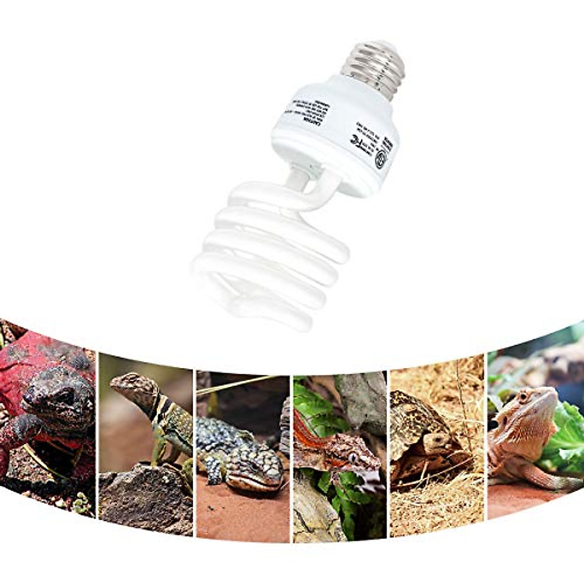 WACOOL Spiral Compact UVA UVB Reptile Light, 26W Energy Saving Lamps UVA UVB Bulb 10.0 and UV Test Card Kit for Reptile/Snake/Lizard/Insect/Turtle/Tortoise/Gecko etc. (26W)