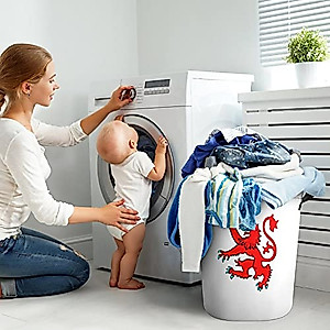 Lion Rampant Scotland Large Laundry Basket Hamper Bag Washing with Handles for College Dorm Portable
