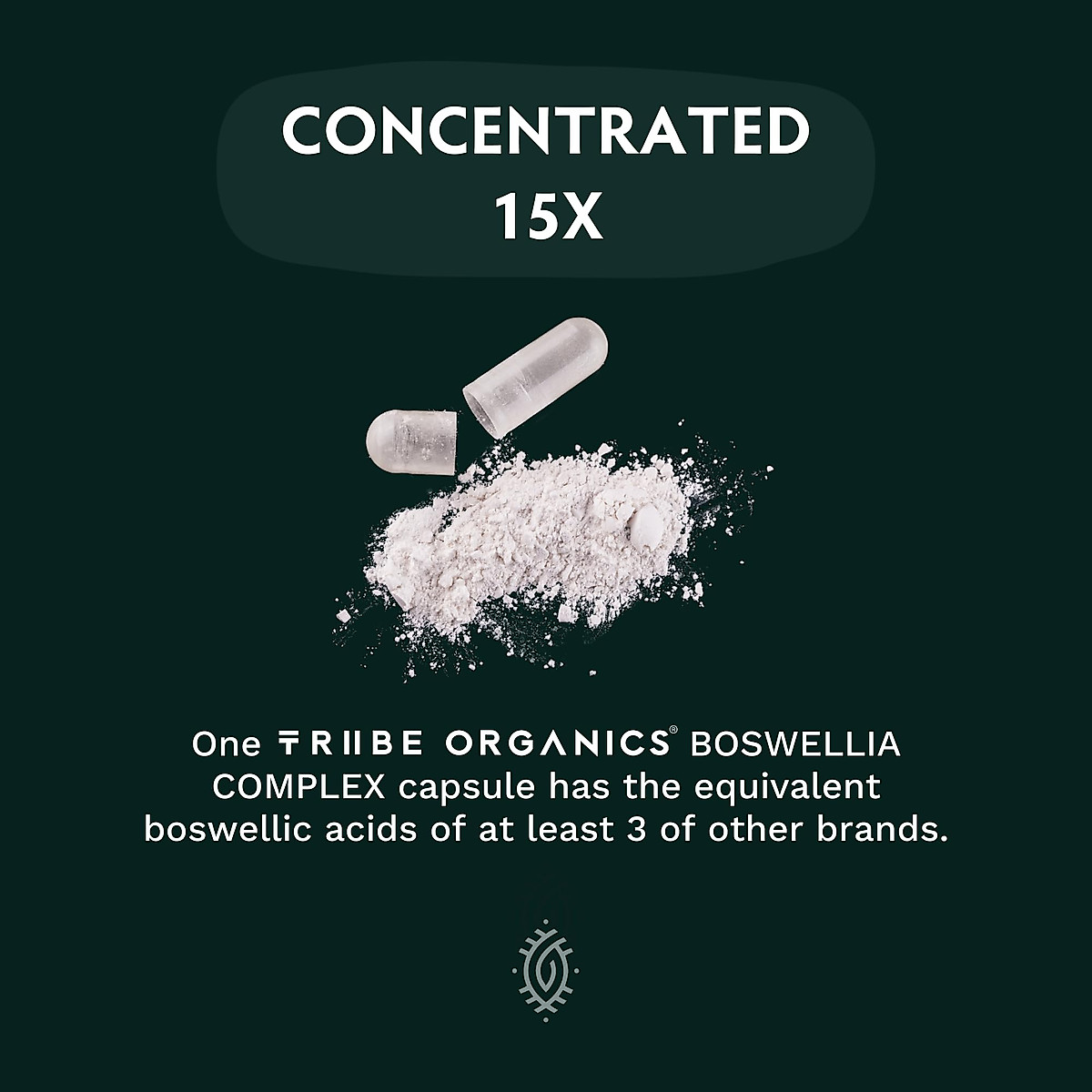 TRIBE ORGANICS Boswellia Serrata Complex Supplement for Joint Support, Muscle Relief - Vegetarian Non-GMO 120 Capsules, High Potency - Boswellin Super with Ginger Extract & Black Pepper - 420mg