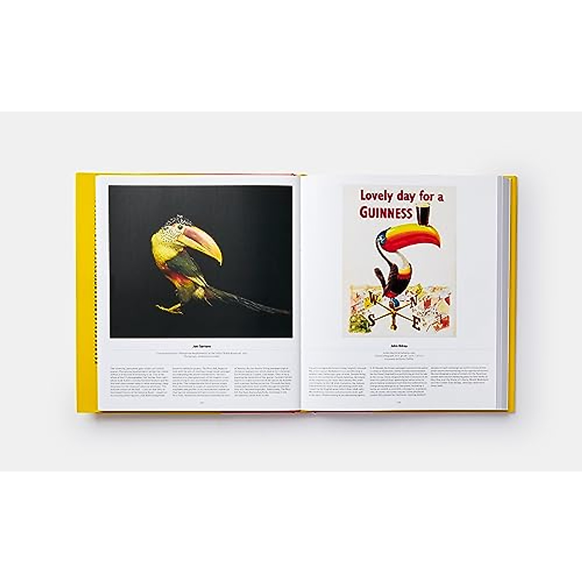 Bird: Exploring the Winged World