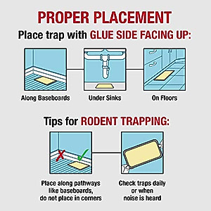 Heavy-Duty Rat Mouse Snake & Insect Glue Trap by Catchmaster - 6 Pre-Baited Trays with Hercules Putty Fastener, Ready to Use Indoors. Floor Anchor Sticky Adhesive Non-Toxic - Made in The USA