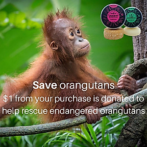 Shampoo Bar and Conditioner Bar Travel Set, Lemongrass & Gillyflower for Dry Hair, Sulfate Free, Palm Oil Free, Plastic Free, Eco-Friendly Natural Solid Bars