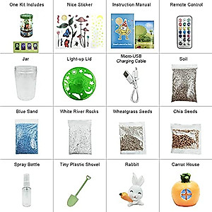 Waitahug Light up Terrarium Kit for Kids with LED Light on Lid - Stem Plant Educational Toys - DIY Your own Mini Garden in a Jar which Glows at Night - Stem Toys - Gardening Gifts for Kids Age 4-12