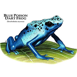 CafePress Blue Poison Dart Frog Mug Ceramic Coffee Mug, Tea Cup 11 oz