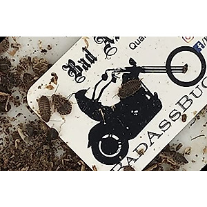 Bad Ass Bugs 250 Small Dubia Roaches