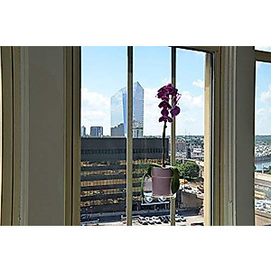 LaBrinx Designs Small Suction Cup Shelf - Live Plants, Windows, and Bathrooms