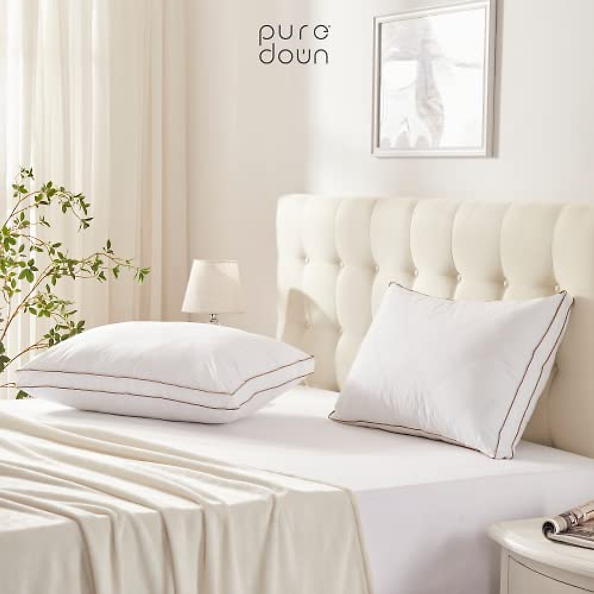 puredown Goose Down Feather Sleeping 100% Cotton Pillow Cover Down proof, Standard/Queen, Gusseted, Set of 2.