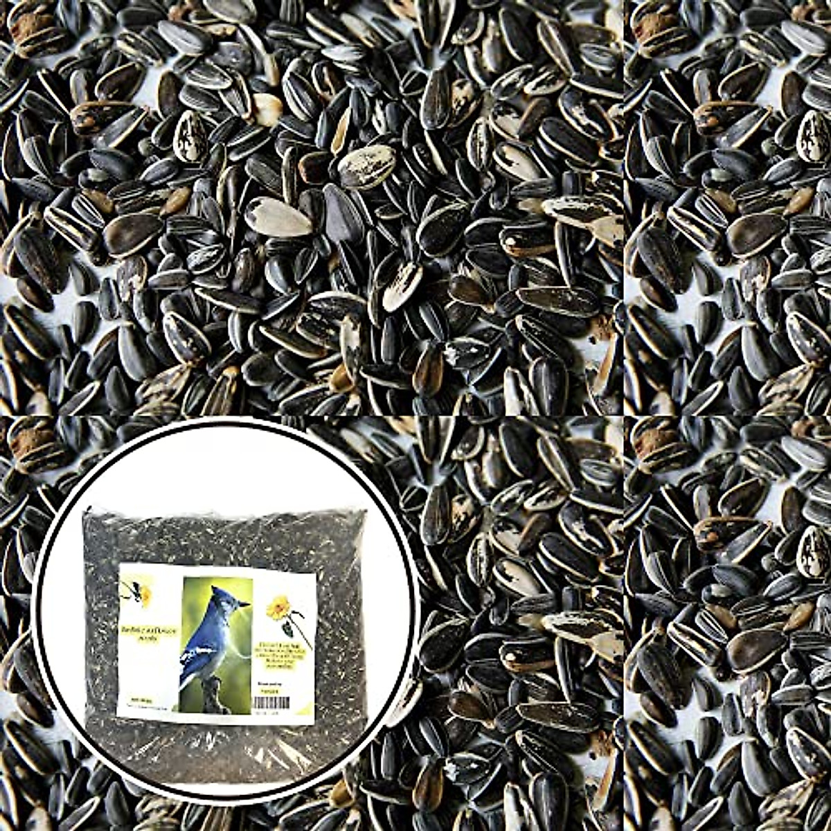 Black Oil Sunflower Seeds for Birds (10 Pound), Birds Seed for Outside Wild Birds, Birds Love Black Oil Sunflower Seeds for Their high-Fat Content, Nutrition Filled Bird Seed for Outside feeders