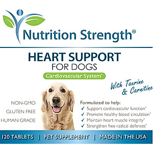 Nutrition Strength Heart Support for Dogs with Taurine & Carnitine, Promote Blood Circulation, Support Cardiovascular Function, Heart Muscle Integrity & Free Radical Defenses, 120 Chewable Tablets