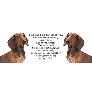 CafePress Dachshund Mugs Ceramic Coffee Mug, Tea Cup 11 oz