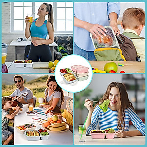 Oyeahoo 4 Pack Bento Lunch Box for Adults, 2 Compartment Meal Prep Containers Reusable, Divided Lunch Containers with Lids, Microwave & Dishwasher Safe Food Prep Containers for Lunch, Work and Travel