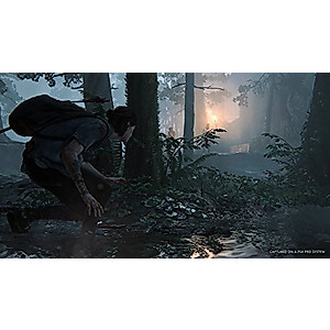 The Last of Us Part II - Standard Edition [PlayStation 4] (Uncut)