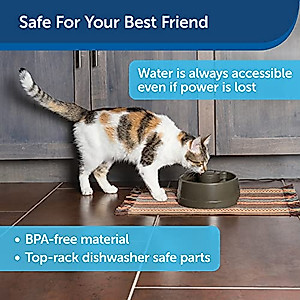 PetSafe Current Pet Water Fountain - Circulating Drinking Fountain for Cats and Dogs - Small, Forest, 40 oz Capacity Water Dispenser - Carbon Filter Included - Easy to Clean Design