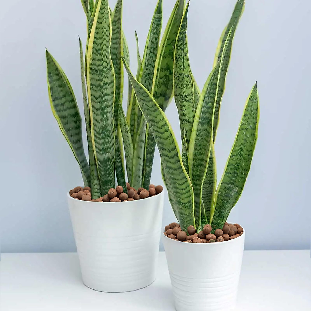 Halatool 4LB Leca Clay Pebbles for Plants 4mm-16mm Lightweight Clay Balls 100% Natural Hydro Balls for Aquarium Potted Plants Hydroponic Growing Gardening Orchids Drainage Decoration Aquaponics