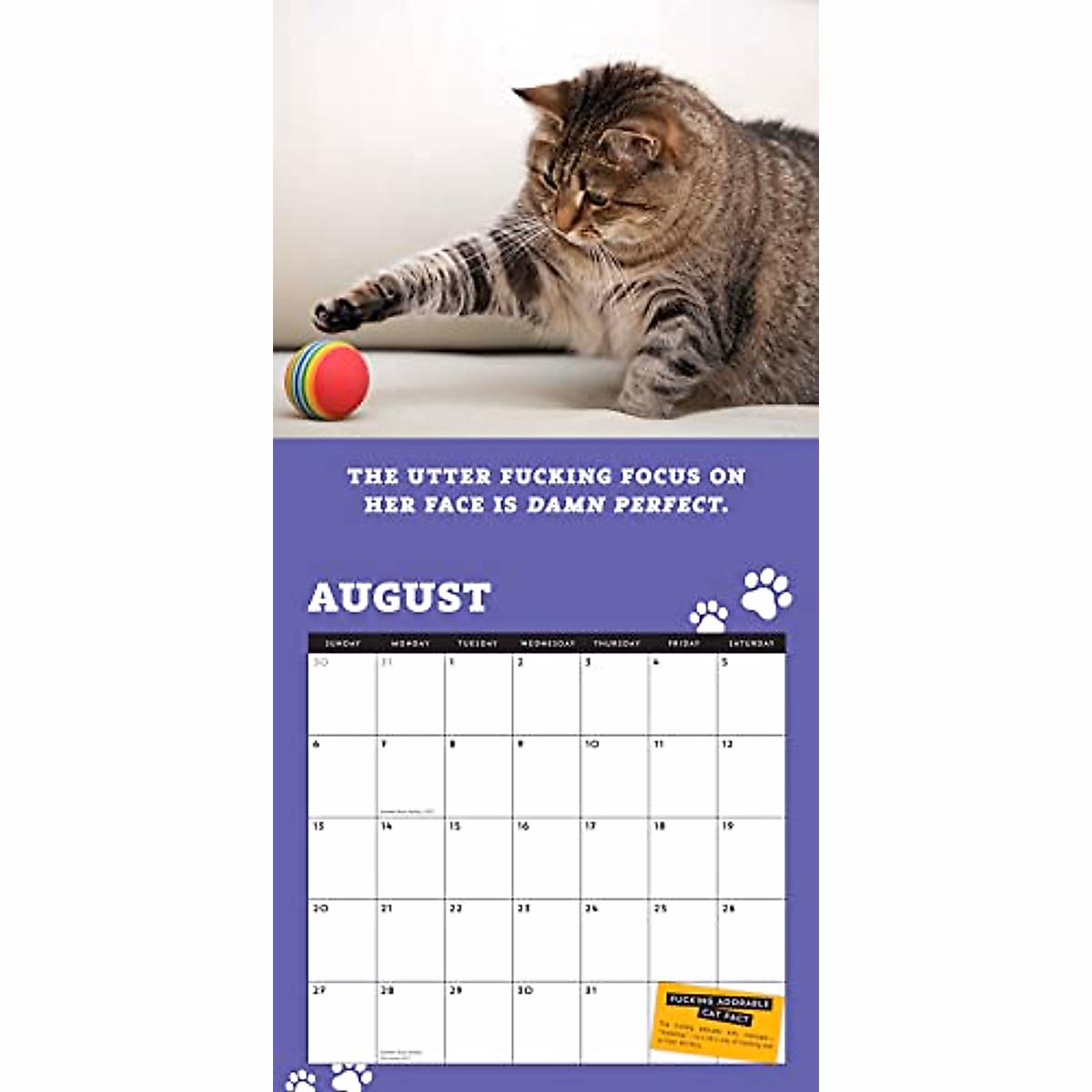 2023 Too F*cking Cute Cats Wall Calendar: A Year of D*mn Adorable Kitties (Funny Monthly Calendar & White Elephant Gag Gift for Cat Lovers)