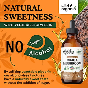Chaga Mushroom Tincture - Immune Support Supplement w/Organic Chaga Mushrooms - Alcohol-Free Chaga Mushroom Drops for Immunity - Chaga Mushroom Supplement Liquid - Chaga Mushroom Extract - 4 oz