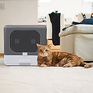 LOOBANI Foldable Cat Litter Box with Lid,Enclosed and Covered Litter Box to Prevent Smell, Anti-Splashing Kitty Potty with Scoop and Mat for Easy Clean, Large Top Entry Cat Toilet with Drawer (Grey)